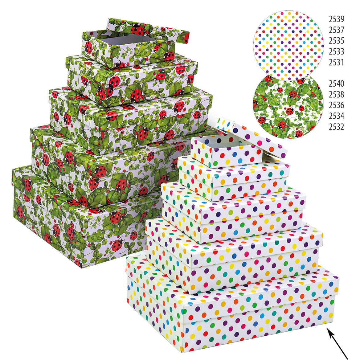 2539-0154 Dárková krabice 24,5x16,5x6,6cm /2500-8154/ | Argus CZ